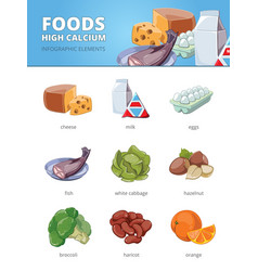 Calcium Infographics Vector Images (over 450)