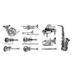 Jazz classical wind instruments set musical Vector Image