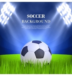 Realistic football soccer stadium background Vector Image