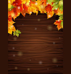 Autumn leaves on background wooden boards Vector Image