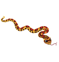 Cartoon python Royalty Free Vector Image - VectorStock