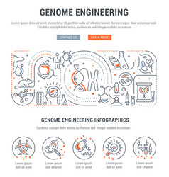 Genetic engineering thin line icon Royalty Free Vector Image