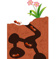 Cartoon ants colony and ant hill Royalty Free Vector Image