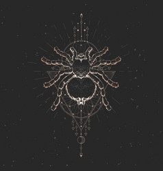 With hand drawn spider and sacred geometric Vector Image