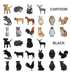 Realistic animals cartoon icons in set collection Vector Image