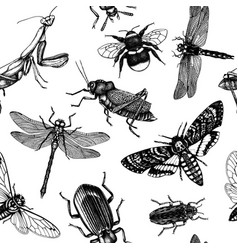Insects line icons Royalty Free Vector Image - VectorStock