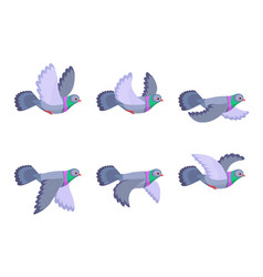 A flying pigeon Royalty Free Vector Image - VectorStock