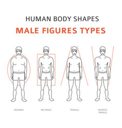 Human body shapes male figures types set Vector Image