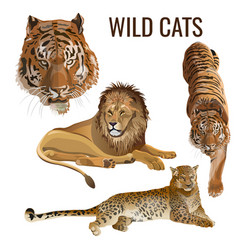 Wild Vector Images (over 450,000)