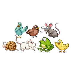 White mice Royalty Free Vector Image - VectorStock