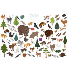 Taiga biome boreal snow forest terrestrial Vector Image