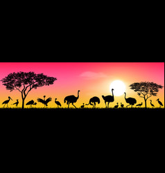 Savanna animals on a background a sunset sun Vector Image
