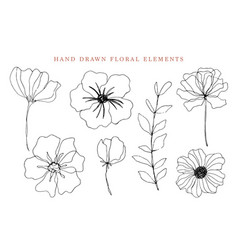 Floral elements set botanical drawings Royalty Free Vector