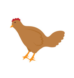 Poultry farming chicken breeds icon set flat Vector Image