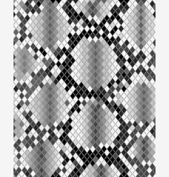 Abstract python snake skin wallpaper Royalty Free Vector