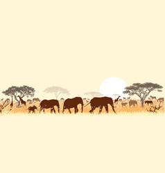 Savanna animals on a background a sunset sun Vector Image
