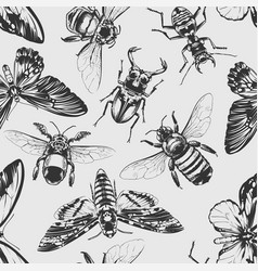 Insects seamless pattern with moths ants Vector Image