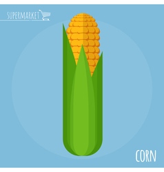 Corn yellow flat icon food natural Royalty Free Vector Image