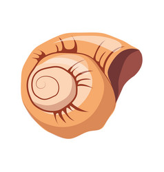Sea shells exotic marine cartoon clam-shell Vector Image