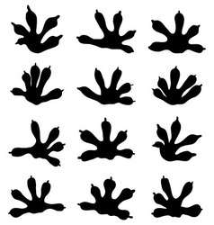 Reptile Foot Prints Vector Images (over 130)