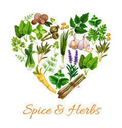 Cartoon Herb Spices Vector Images (over 3,100)