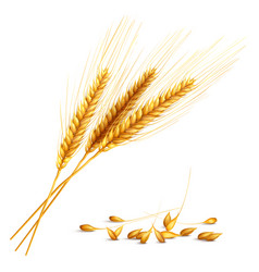 Barley Vector Images (over 26,000)