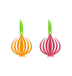 Onion Royalty Free Vector Image - VectorStock