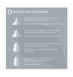 The Four Stage of Population Pyramids Charts Vector Image