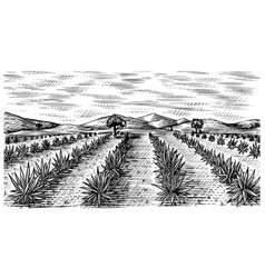 Pineapple Woodcut Vector Images (44)