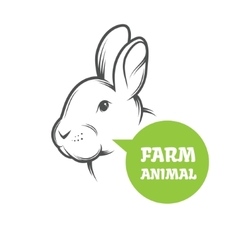 Engraving rabbit retro Royalty Free Vector Image