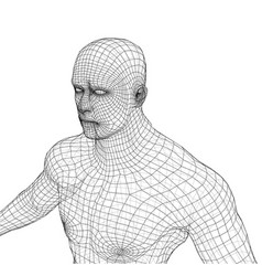 Wire frame athlete body on white background Vector Image