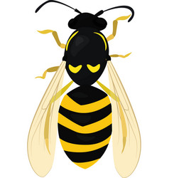 Chitin Vector Images (over 710)