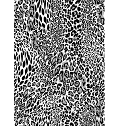 Black and white leopard seamless pattern animal Vector Image