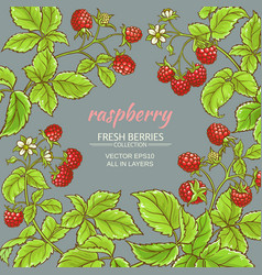 Raspberry frame Royalty Free Vector Image - VectorStock