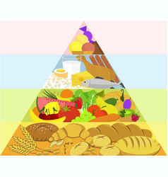 Food pyramid Royalty Free Vector Image - VectorStock