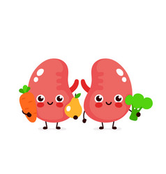 Strong cute healthy happy kidneys Royalty Free Vector Image