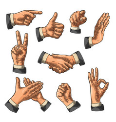 Middle finger sign by male hand Royalty Free Vector Image