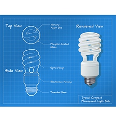 Compact fluorescent drawing Royalty Free Vector Image