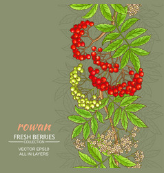 Rowan Vector Images (over 10,000)