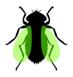 Fly Vector Images (over 470,000)