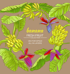 Banana frame Royalty Free Vector Image - VectorStock