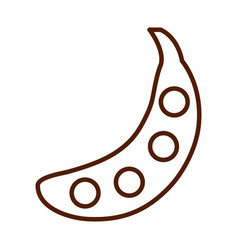 Healthy food fresh vegetable raw ingredient peas Vector Image