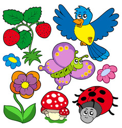 Spring animals collection Royalty Free Vector Image