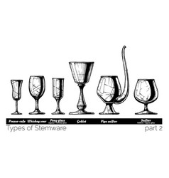 Stemware types Royalty Free Vector Image - VectorStock