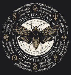 Mole acherontia atropos with old magic symbols Vector Image