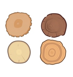 Tree slices set Royalty Free Vector Image - VectorStock
