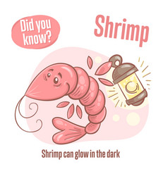 Prawn interesting facts about shrimp did you know Vector Image