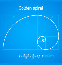 Golden ratio golden proportion Royalty Free Vector Image