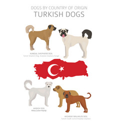 Dogs by country of origin turkish dog breeds Vector Image
