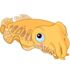 Cuttlefish Royalty Free Vector Image - VectorStock
